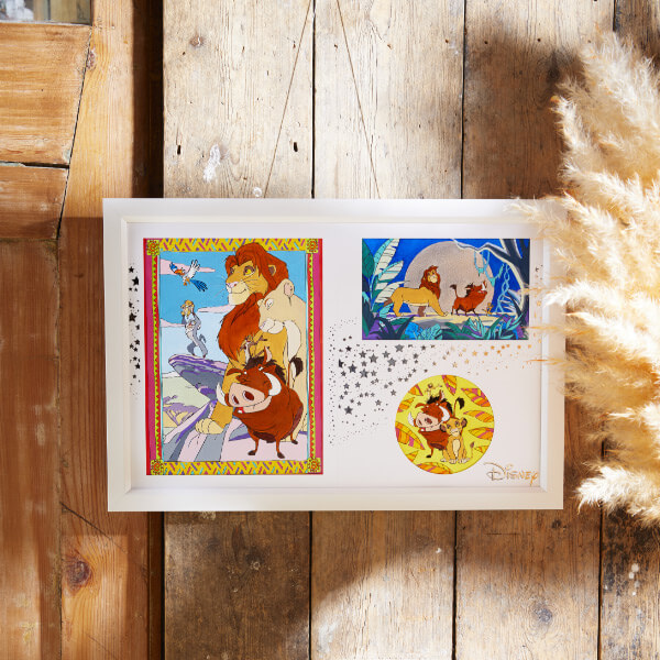 Home - Disney Paint by Numbers