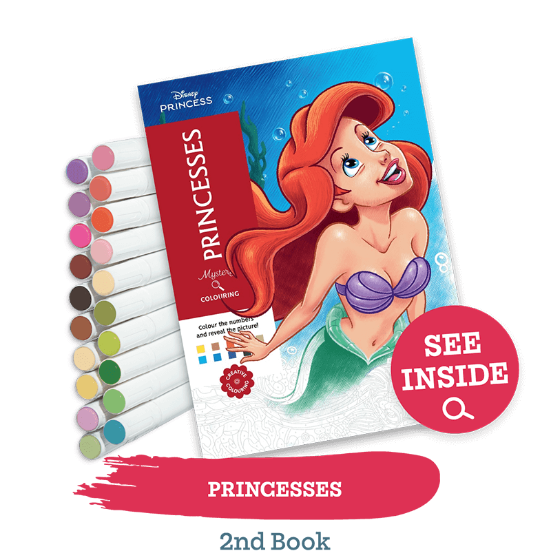 Disney Paint by Numbers